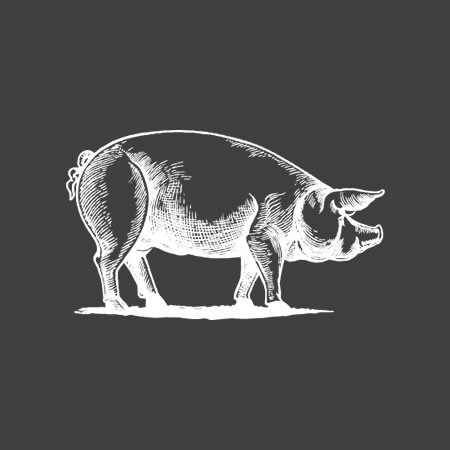 The Facts About Maternity Pens & Gestation Crates